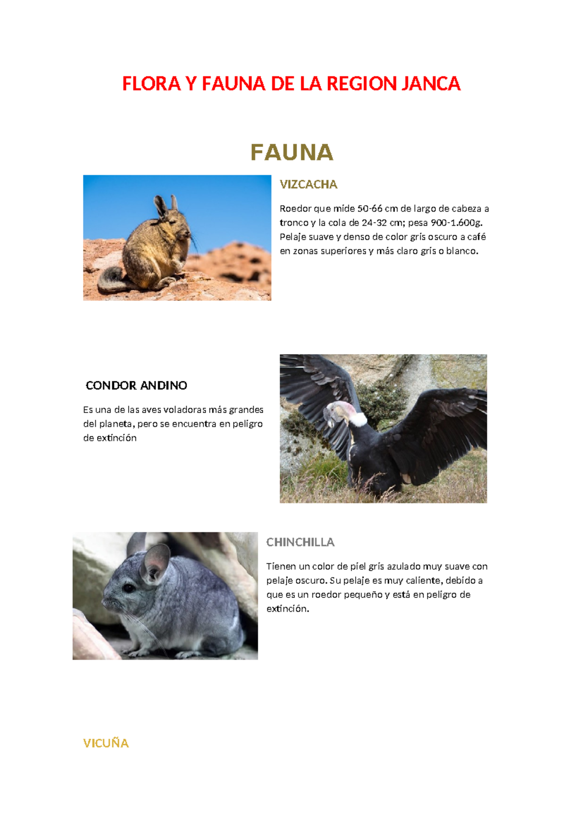 Flora Y Fauna DE LA Region Janca - FLORA Y FAUNA DE LA REGION JANCA ...