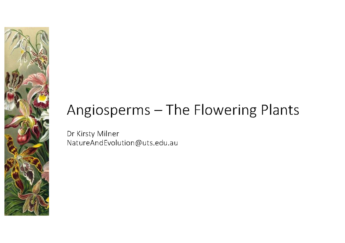 Lecture 5: Angiosperm Flowers - Evolution & Structure (KM) - Studocu