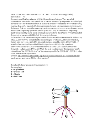 PEP Core 1 - Integrated Problem 2 - Chartered Professional Accountants ...