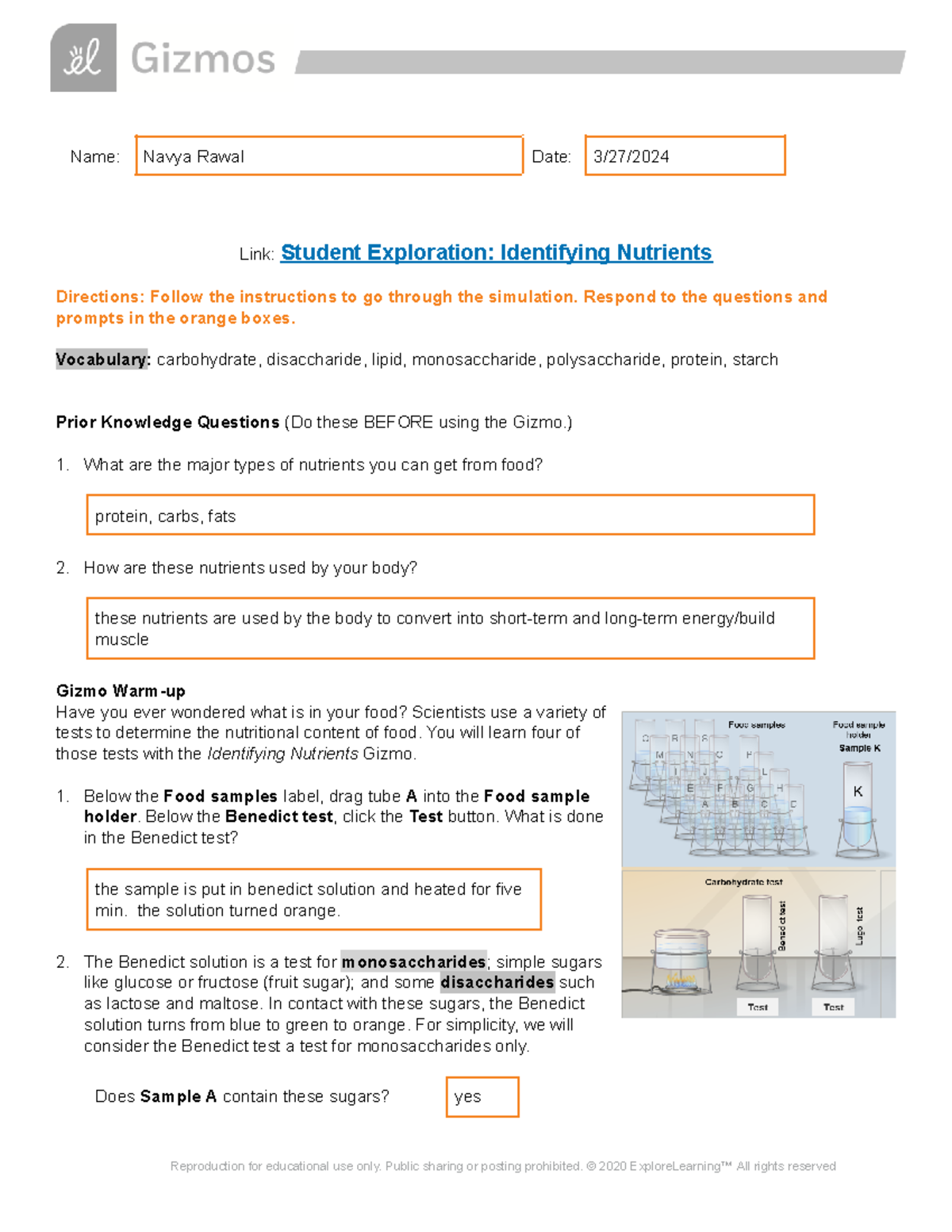 Macromolecule Indicator Lab: Nutrient Identification (Navya Rawal ...