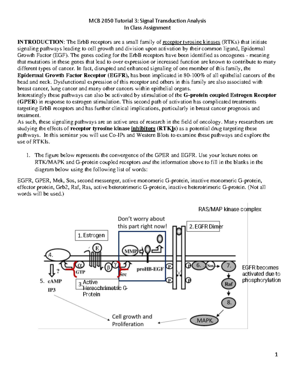 MCB 2050 Tutorial 3: Signal Transduction Analysis In-Class Assignment ...