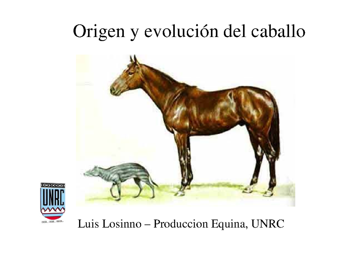 Origen y Evolución del Caballo - Producción Equina UNRC - Studocu