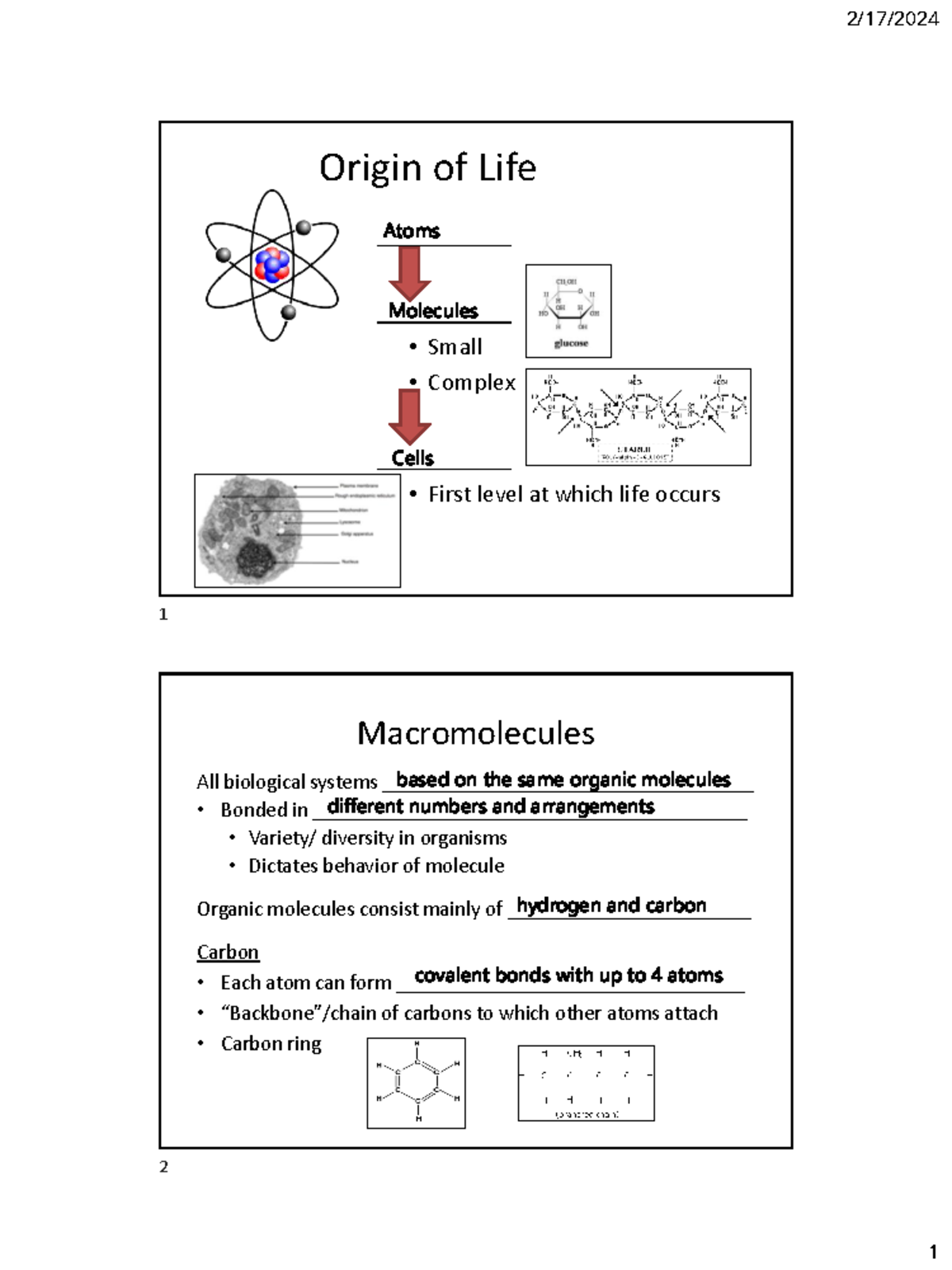 Biology 101: Lecture Notes on Macromolecules & Metabolism - Studocu