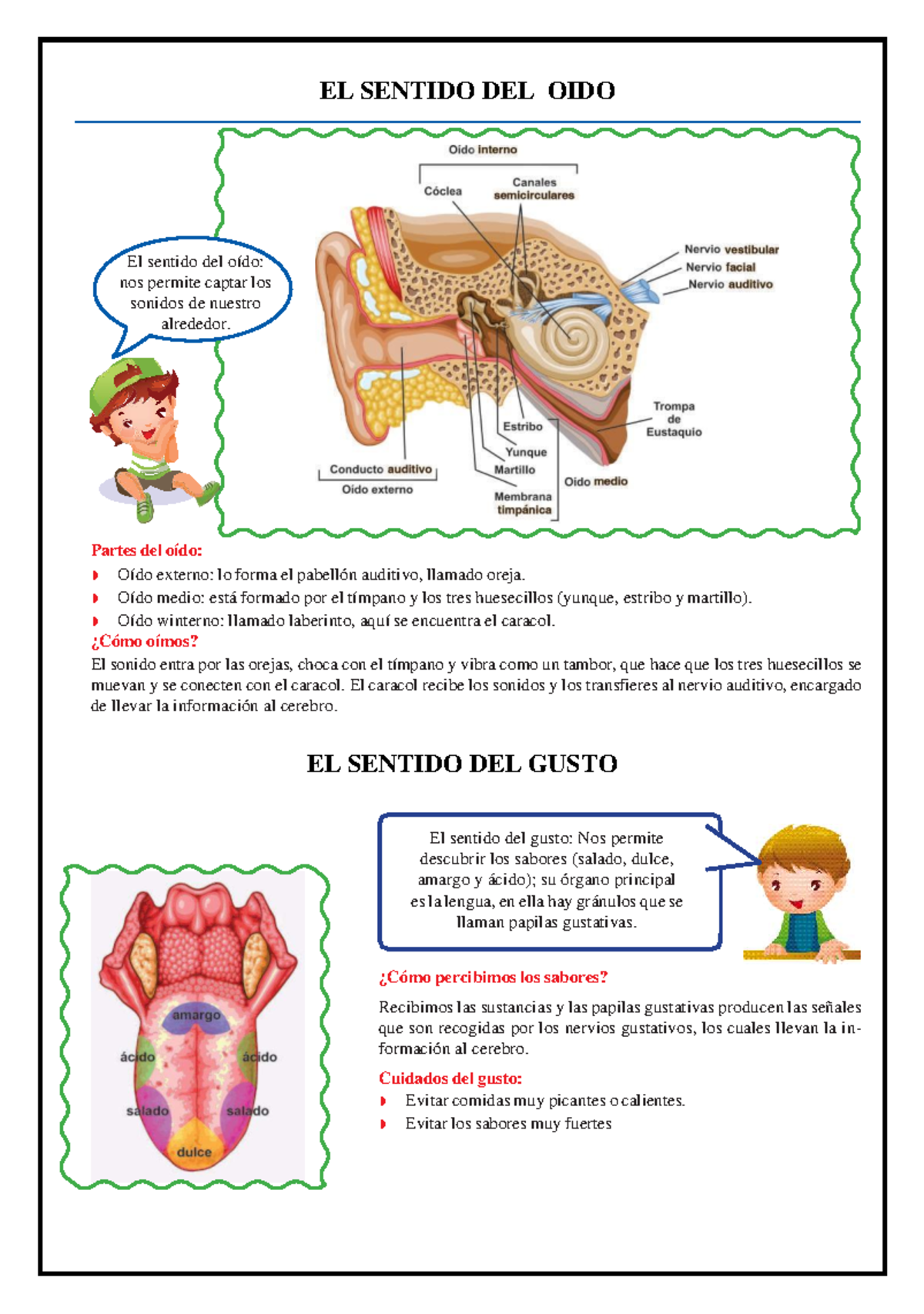 Ficha de los Sentidos: Oído, Gusto y Tacto - Resumen y Actividades ...