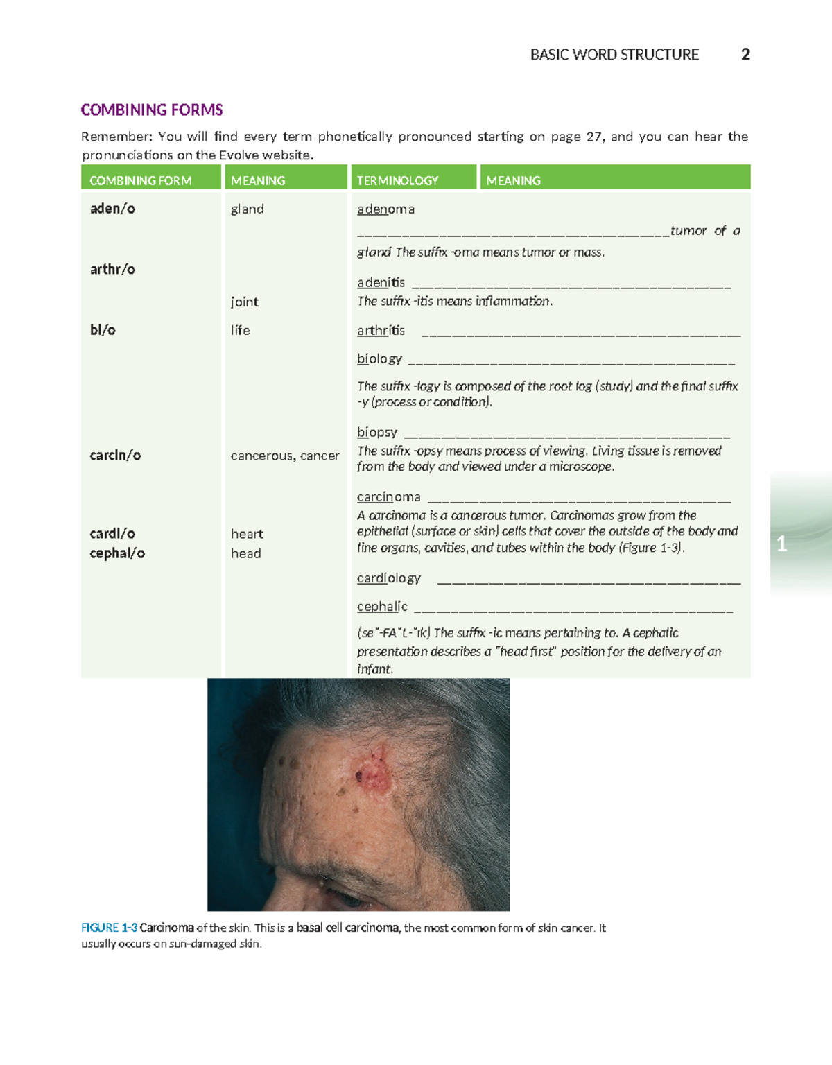 Chapter 1: Understanding Medical Terminology Combining Forms and ...