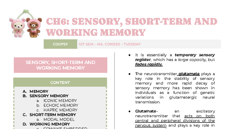 CH6: Sensory & Working Memory - COGPSY 1ST SEM MS. CONDES - Studocu