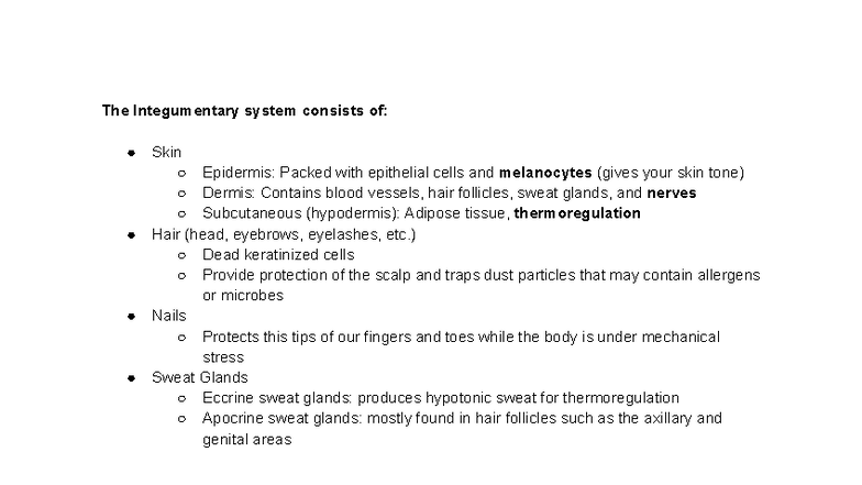 Integumentary System Study Guide: Skin Injuries & Assessments (BIO 101 ...