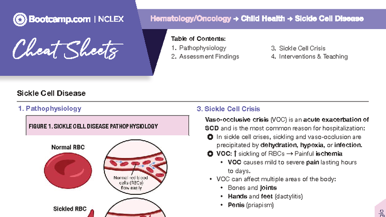 Sickle Cell Disease (SCD) Cheat Sheet: Pathophysiology & Interventions ...