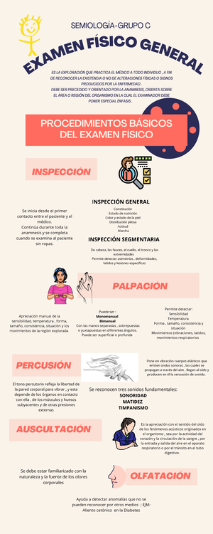 Tipos DE Abdomen - TIPOS DE ABDOMEN CARACTERISTICAS CAUSAS GLOBOSO ...