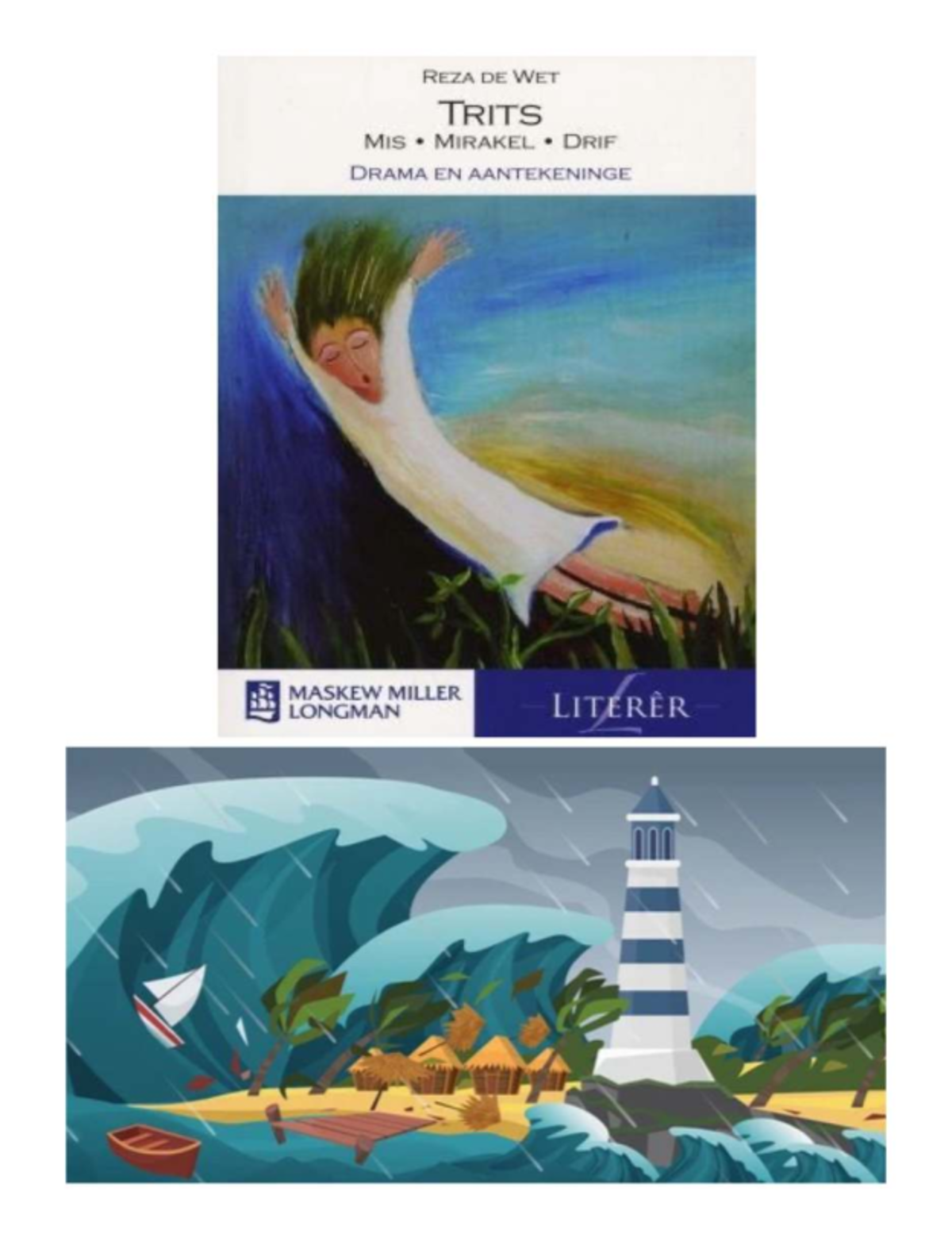 MIS & Tsunami: Analise van Meisie se Besluite en Natuurramp - Studocu