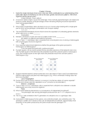 Genetics Exam #2 Review - Spring 2025 (BIO101) - This sequence is found ...