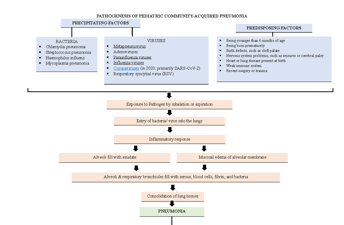 Pathogenesis AND LTP OF PCAP - PATHOGENESIS OF PEDIATRIC COMMUNITY ...