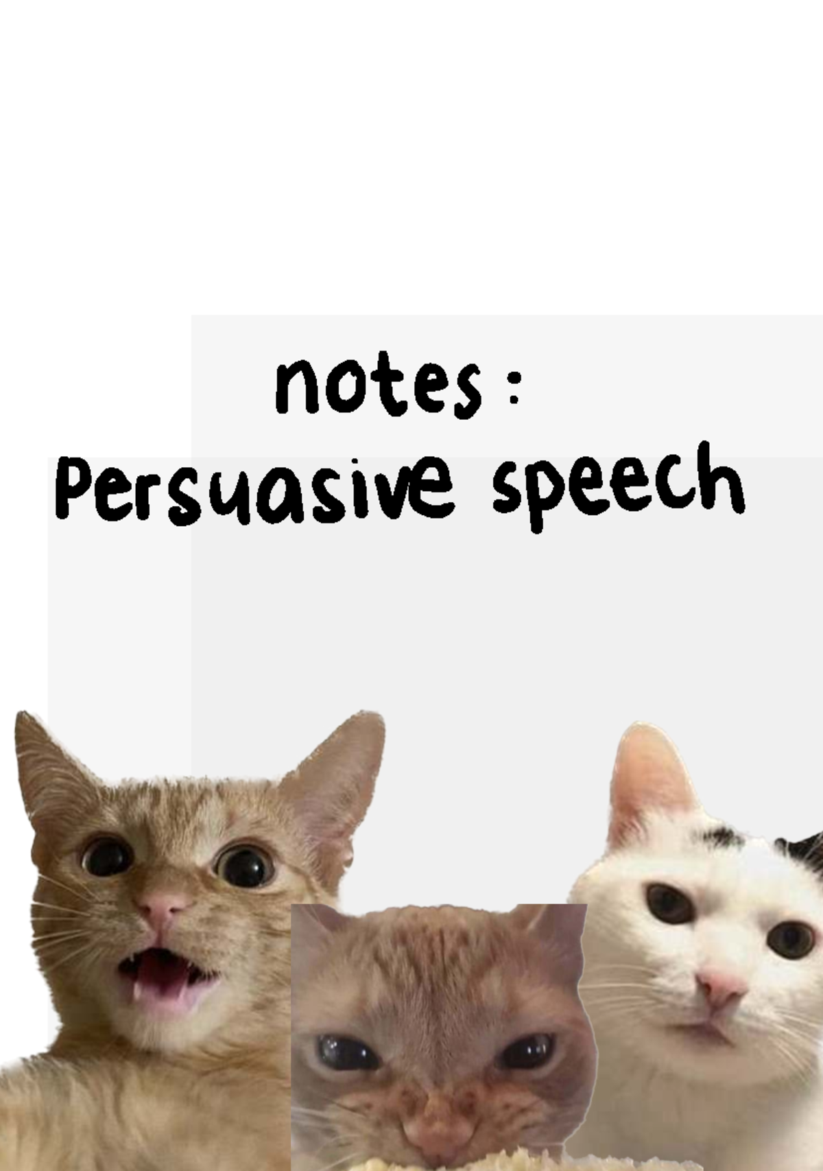 Persuasive Speech Notes: Topics & Strategies for Effective Delivery ...