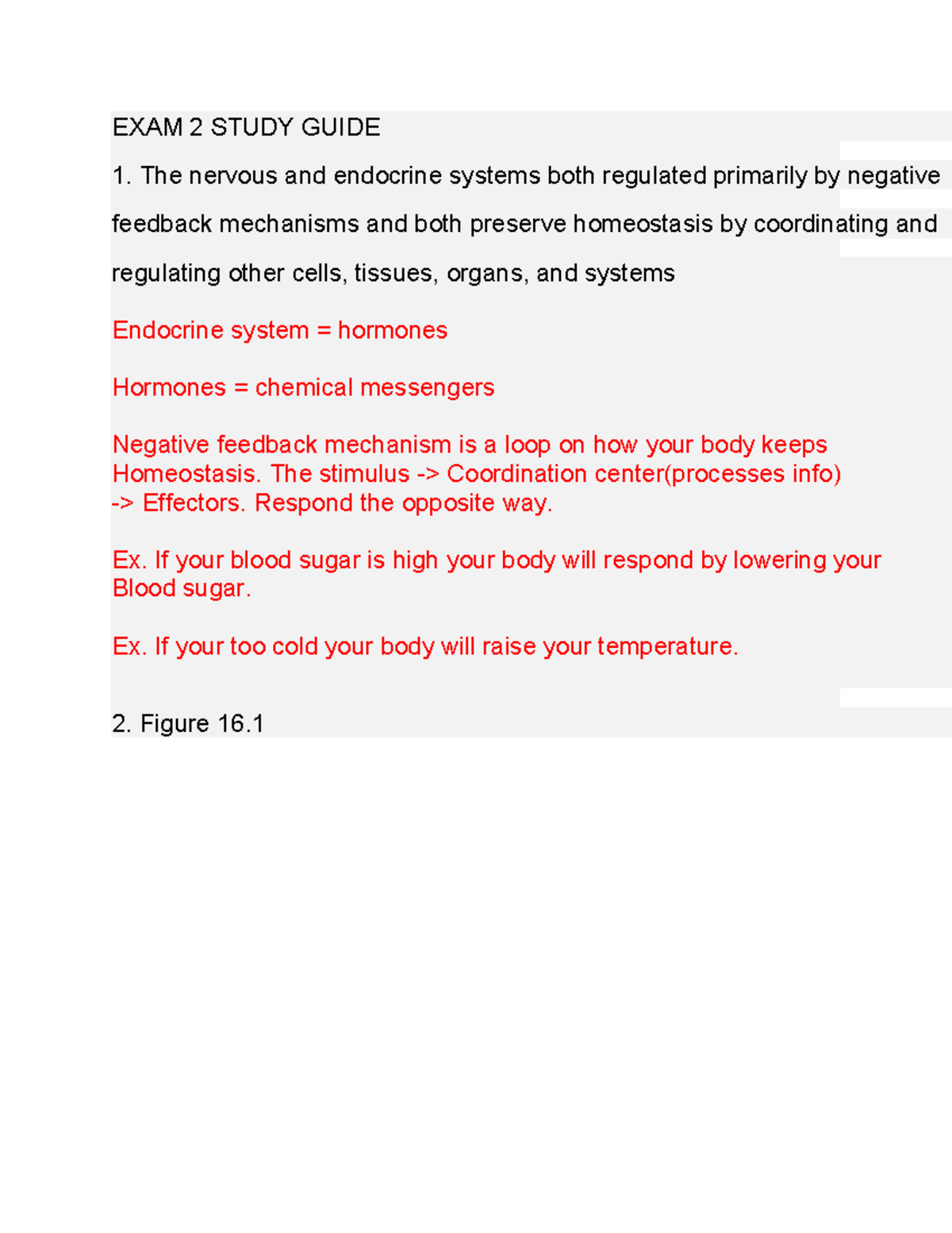 EXAM 2 Study Guide Anatomy and physiology 2 - EXAM 2 STUDY GUIDE The ...