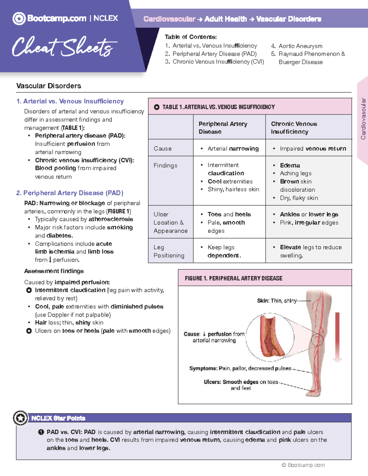 Vascular Disorders Cheat Sheet: PAD, CVI, and Raynaud Phenomenon - Studocu
