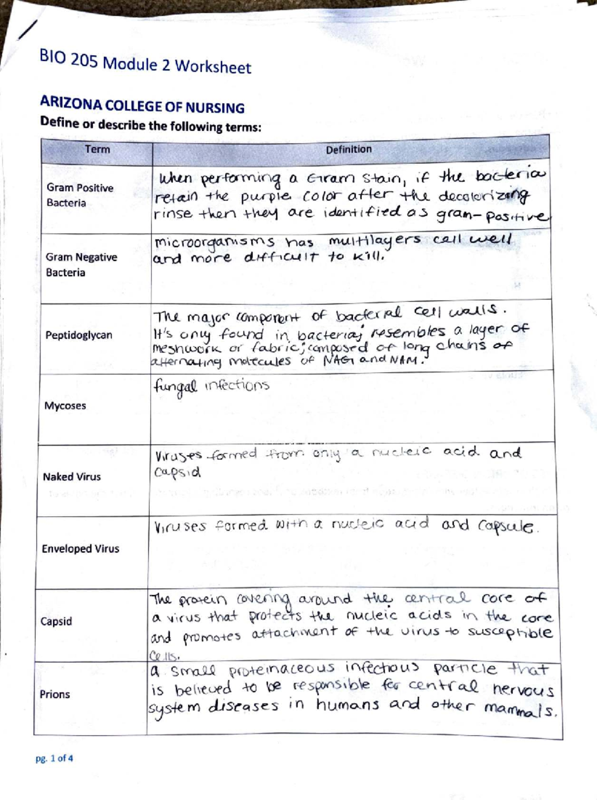 Adobe Scan May 18, 2025 - study guide - / BIO 205 Module 2 Worksheet ARIZONADefineordescribe the ...