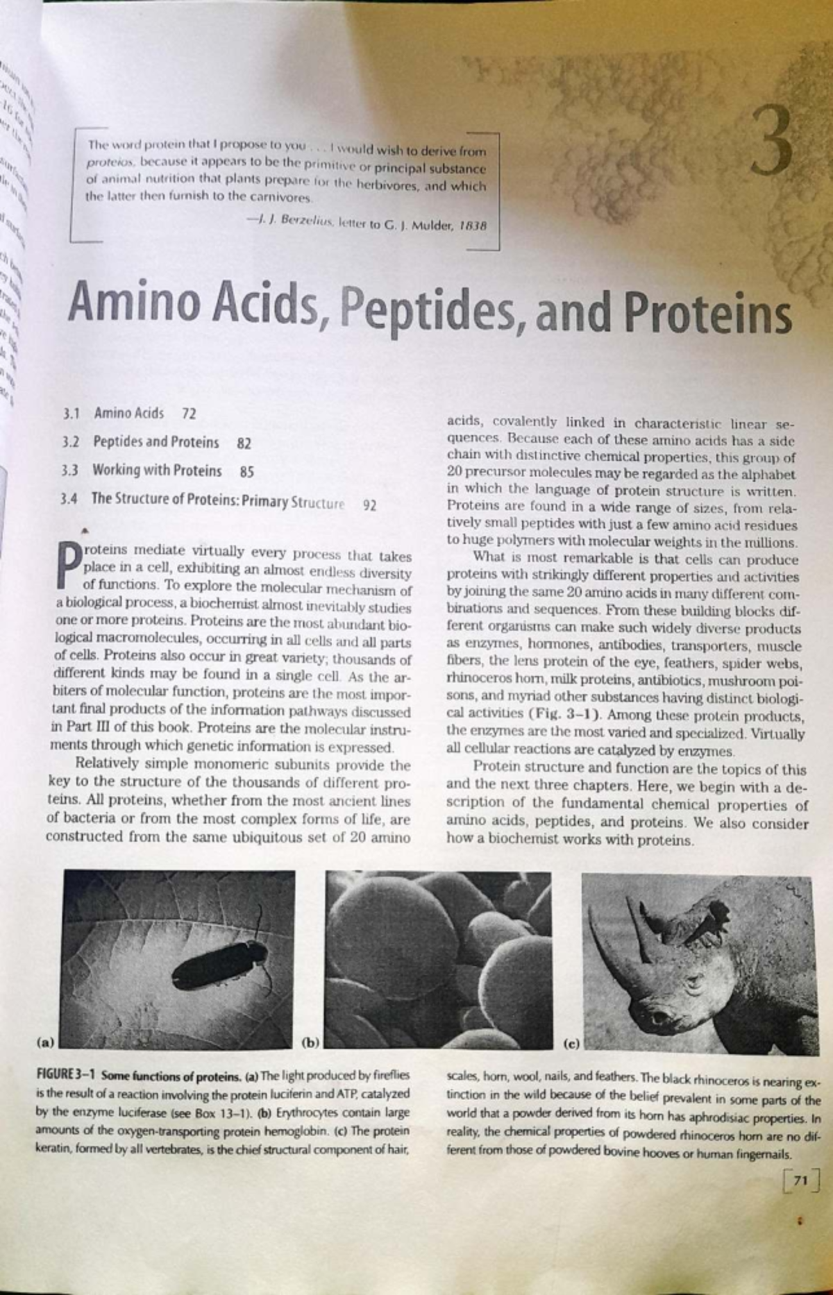 Proteins (BIO101) - Comprehensive Textbook Notes on Structure and ...