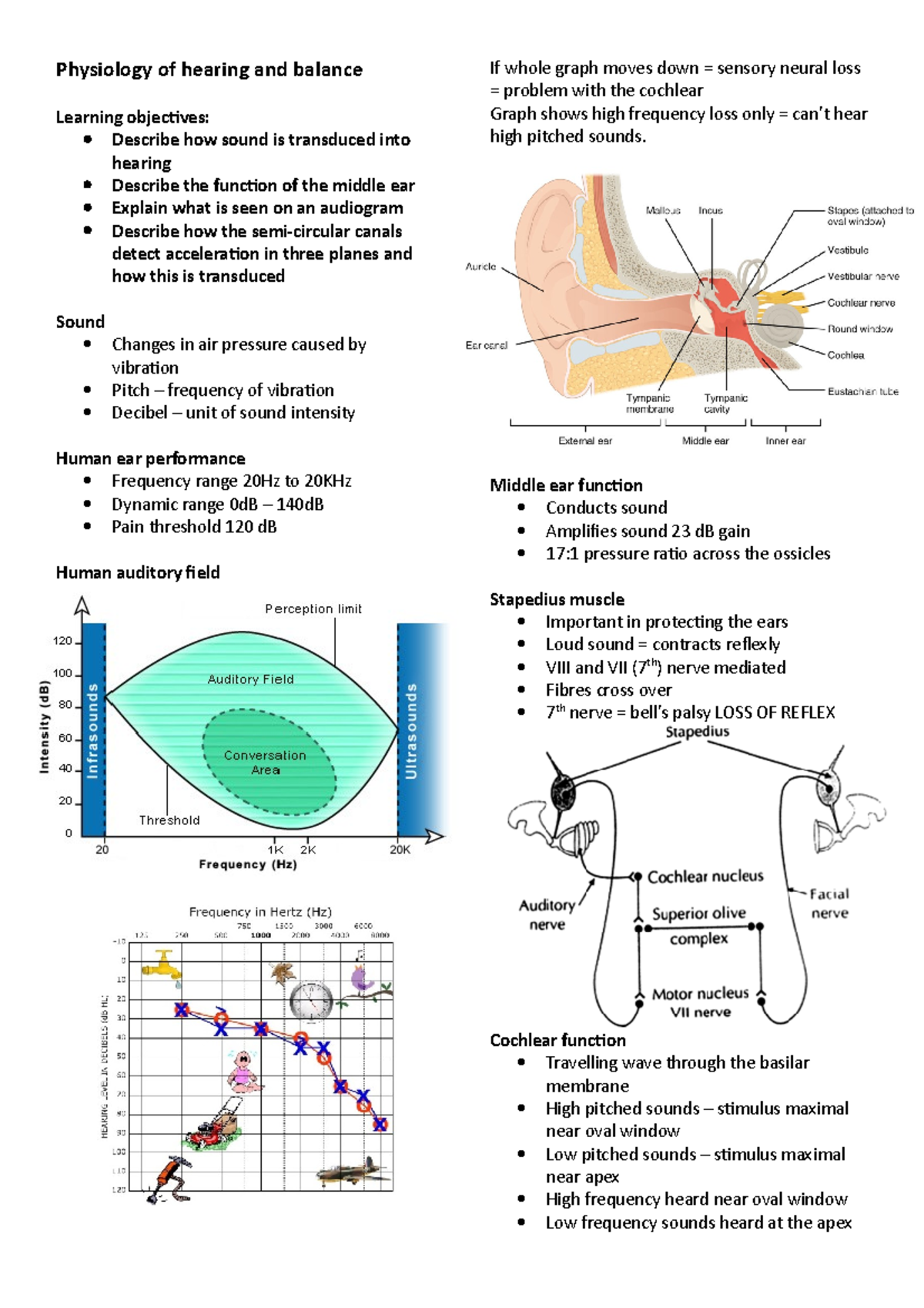 Physiology of hearing and balance - Physiology of hearing and balance ...