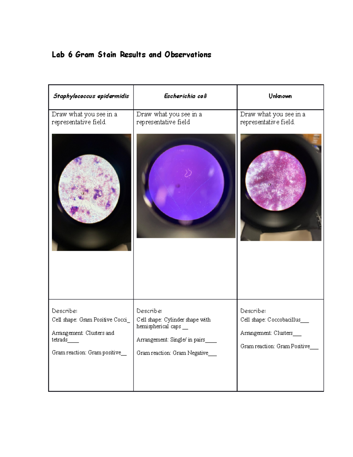 Lab 6 Gram Stain Results & Study Questions Summary - Studocu