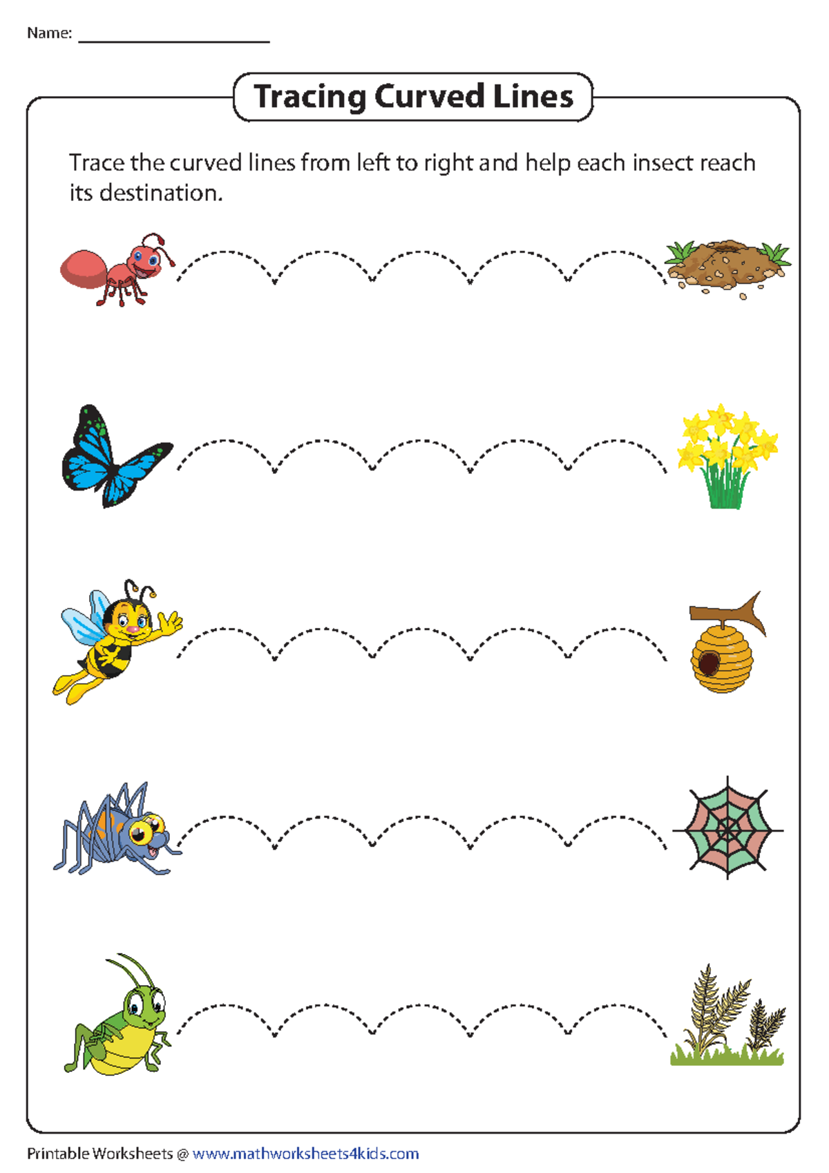 Insects - Tracing educational materians - Educ primary - Printable ...