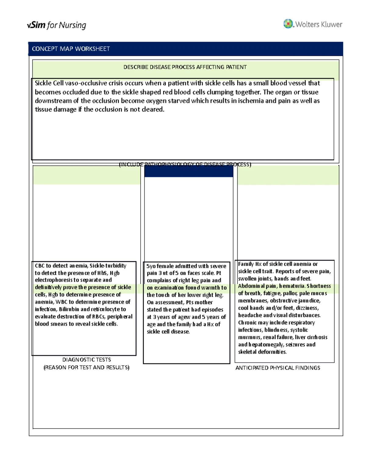 Sabrina Vasquez v Sim Complete Care Plan - DESCRIBE DISEASE PROCESS ...
