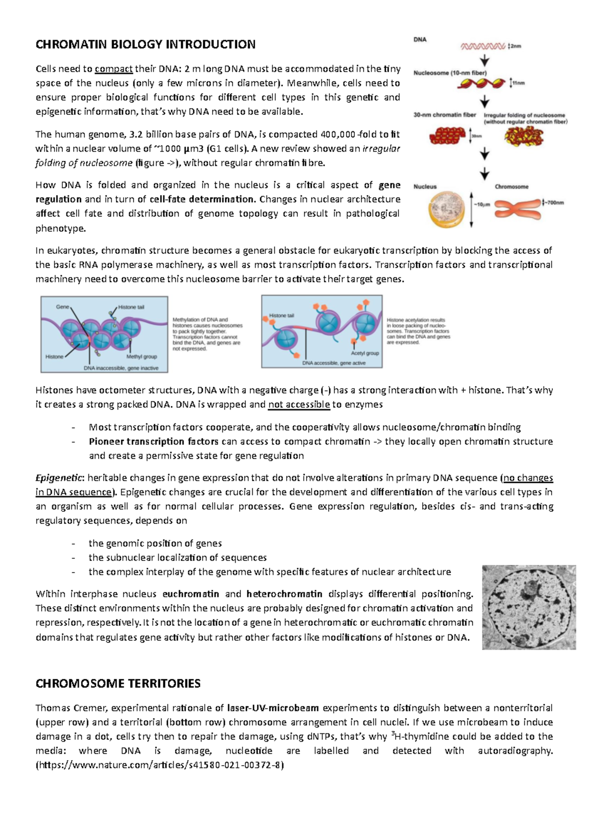 Advanced CELL Biology: Chromatin Structure and Function Insights - Studocu