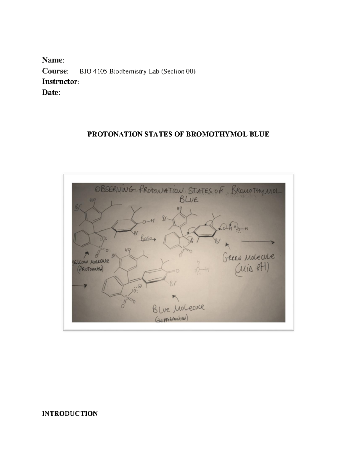 BIO 4105 Biochemistry Lab (Section 00)- Protonation States OF ...