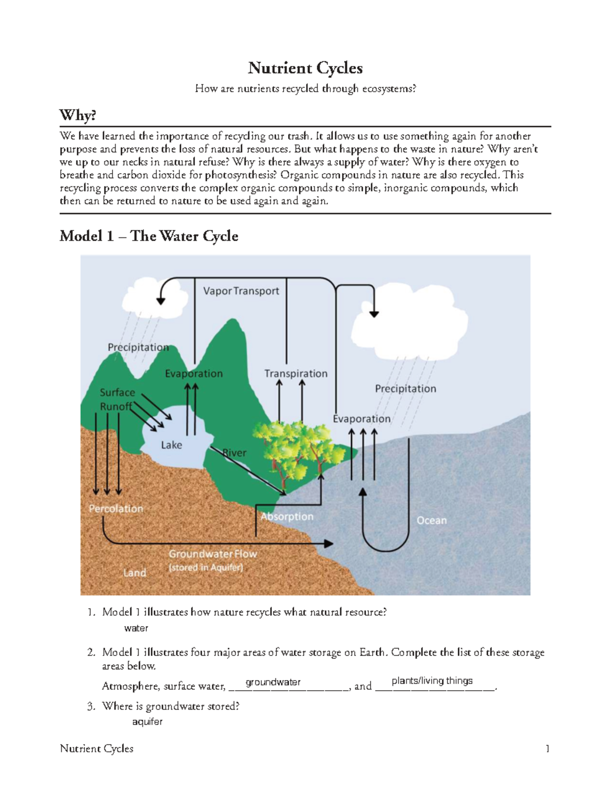 22 Nutrient Cycles-S - A POGIL Overview for Ecosystem Recycling - Studocu
