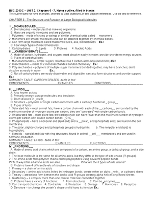 Unit 5, outline, entire unit, no blanks - BSC 2010C, UNIT 5, Chapters ...