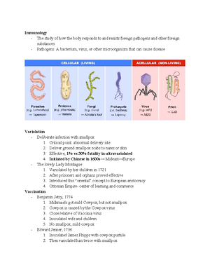 Summary Notes - Topic 13 Excretion in Humans - CAIE Biology Igcse - bit ...