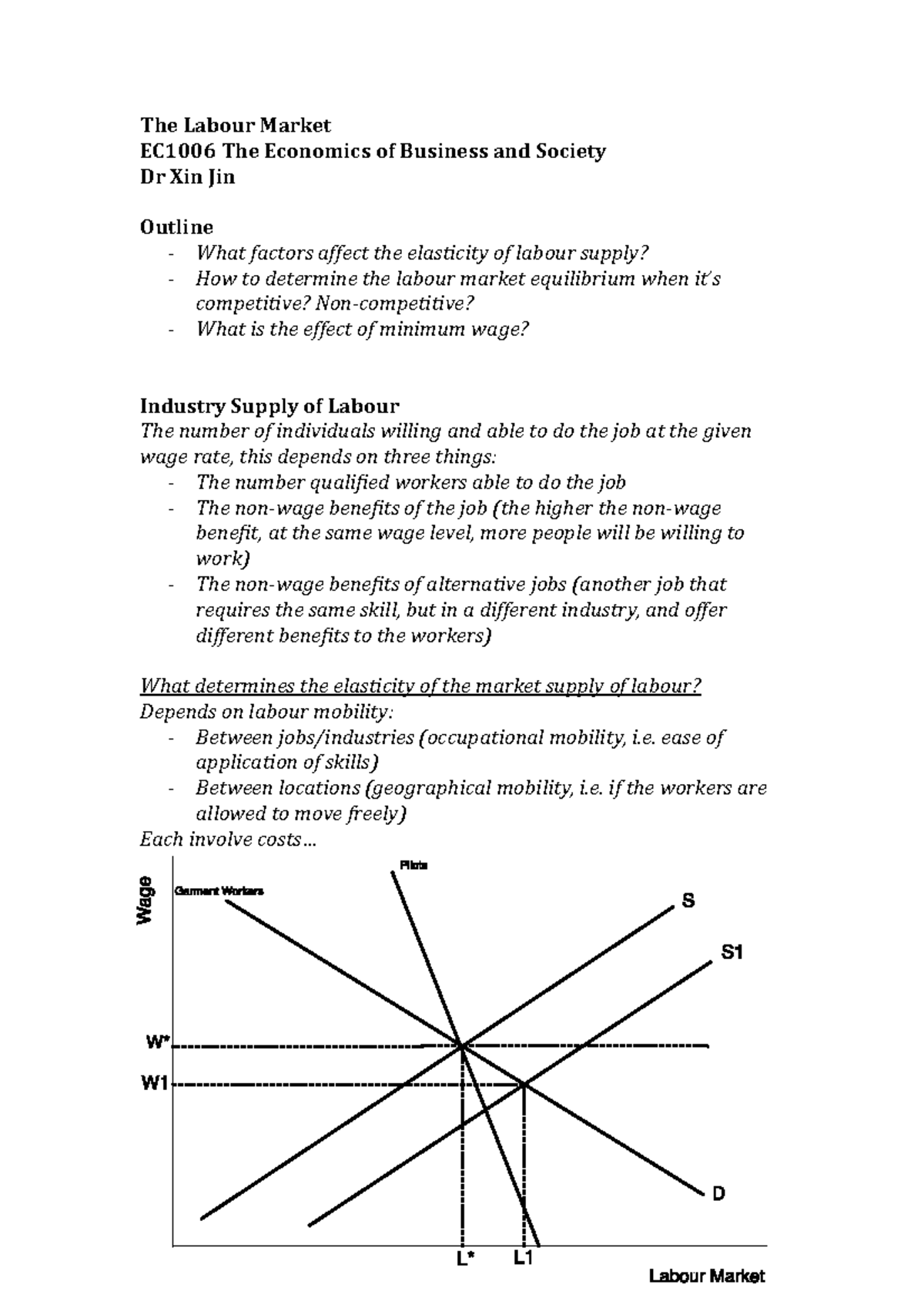 The Labour Market #11 - Lecture notes 11 - The Labour Market EC1006 The ...