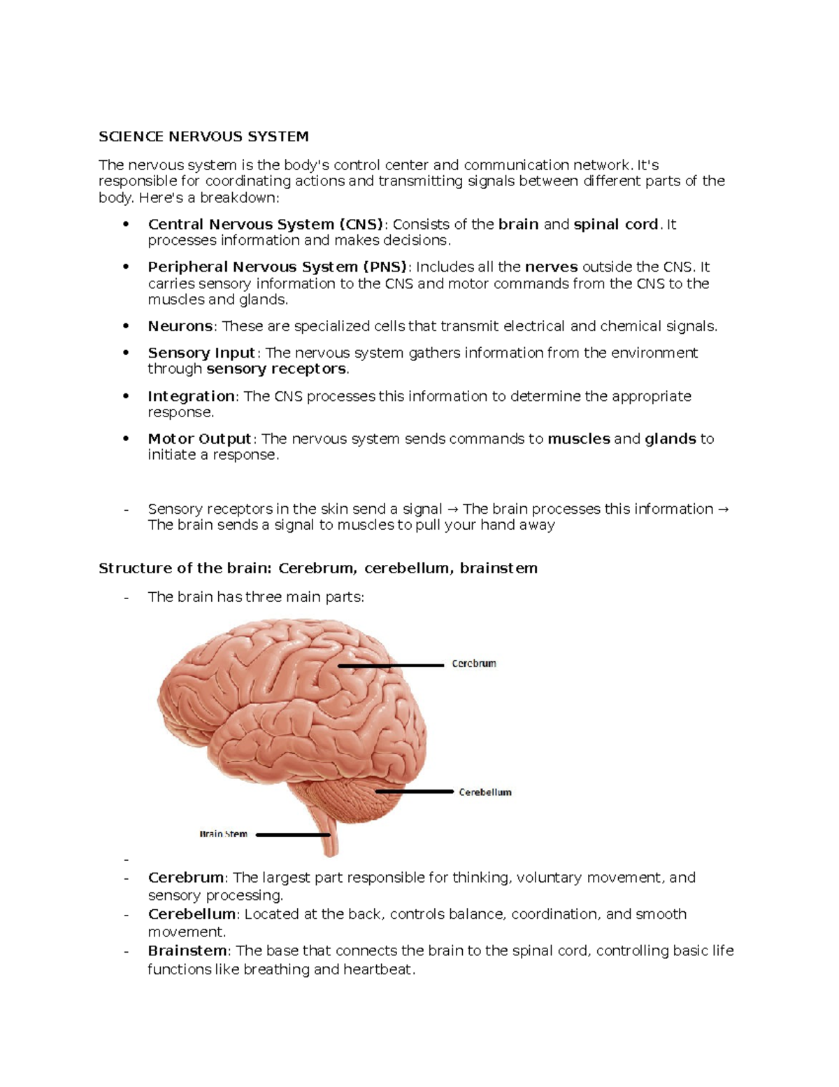 SCIENCE 101: Nervous System & DNA Structure Review Notes - Studocu