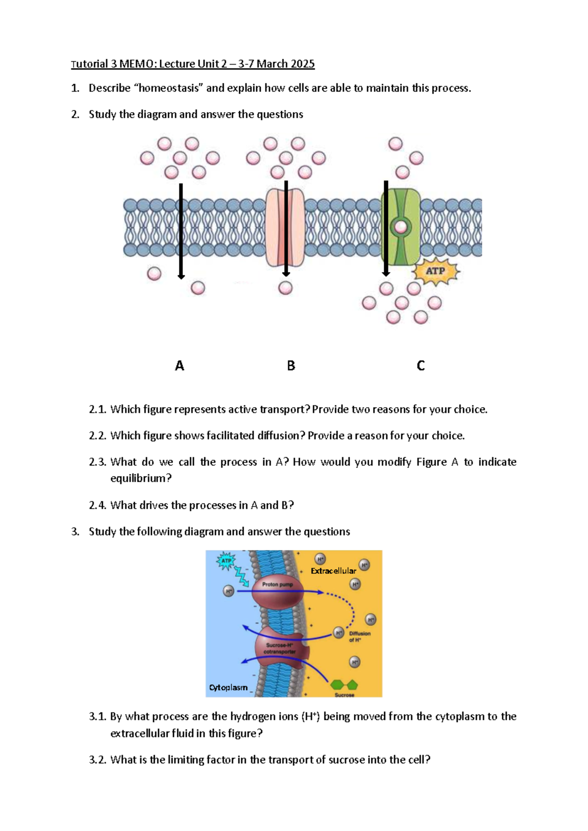 2025 MLB 111 Lecture Unit 2: Tutorial 03 on Homeostasis and Transport ...