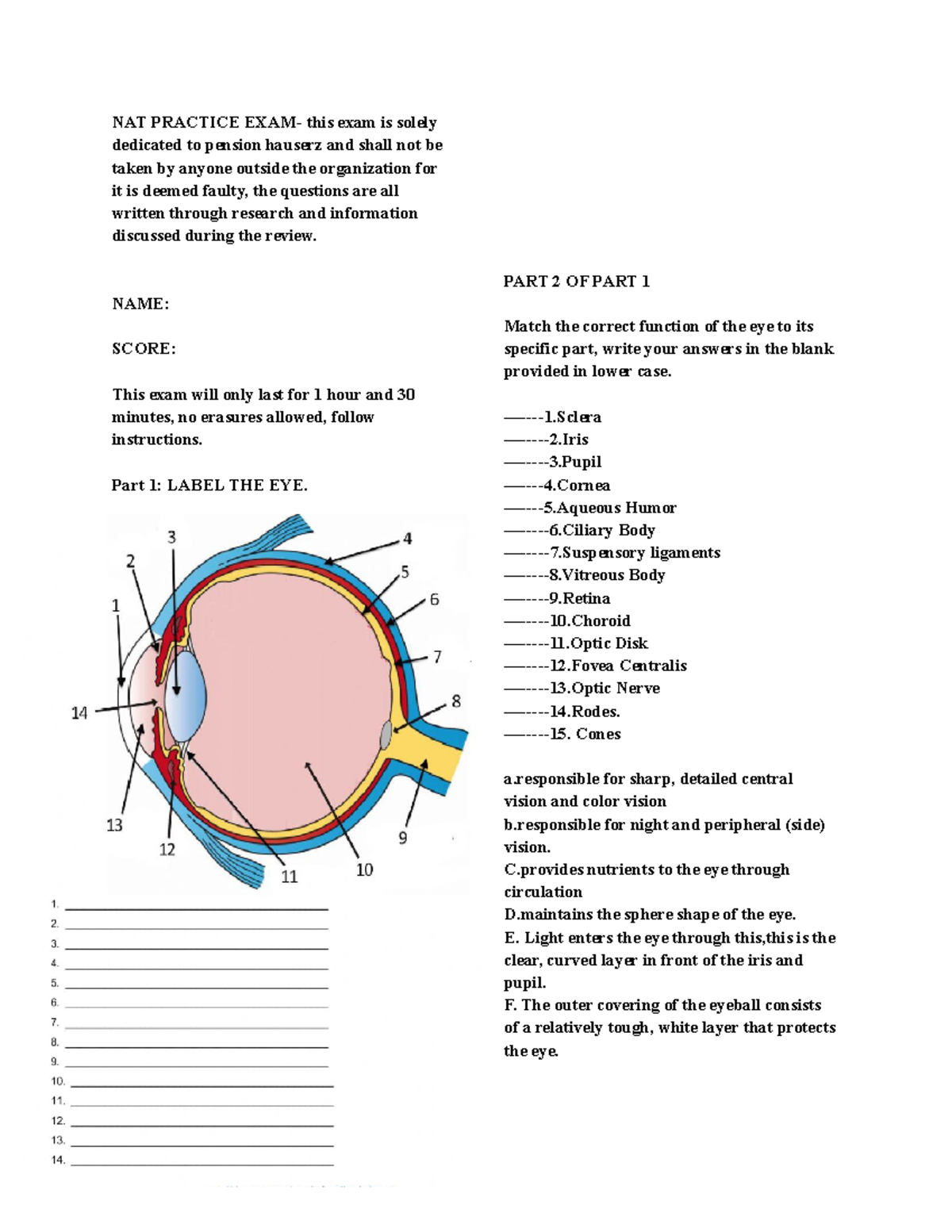 NAT Practice Exam: Understanding Eye Anatomy and Medical Terminology ...