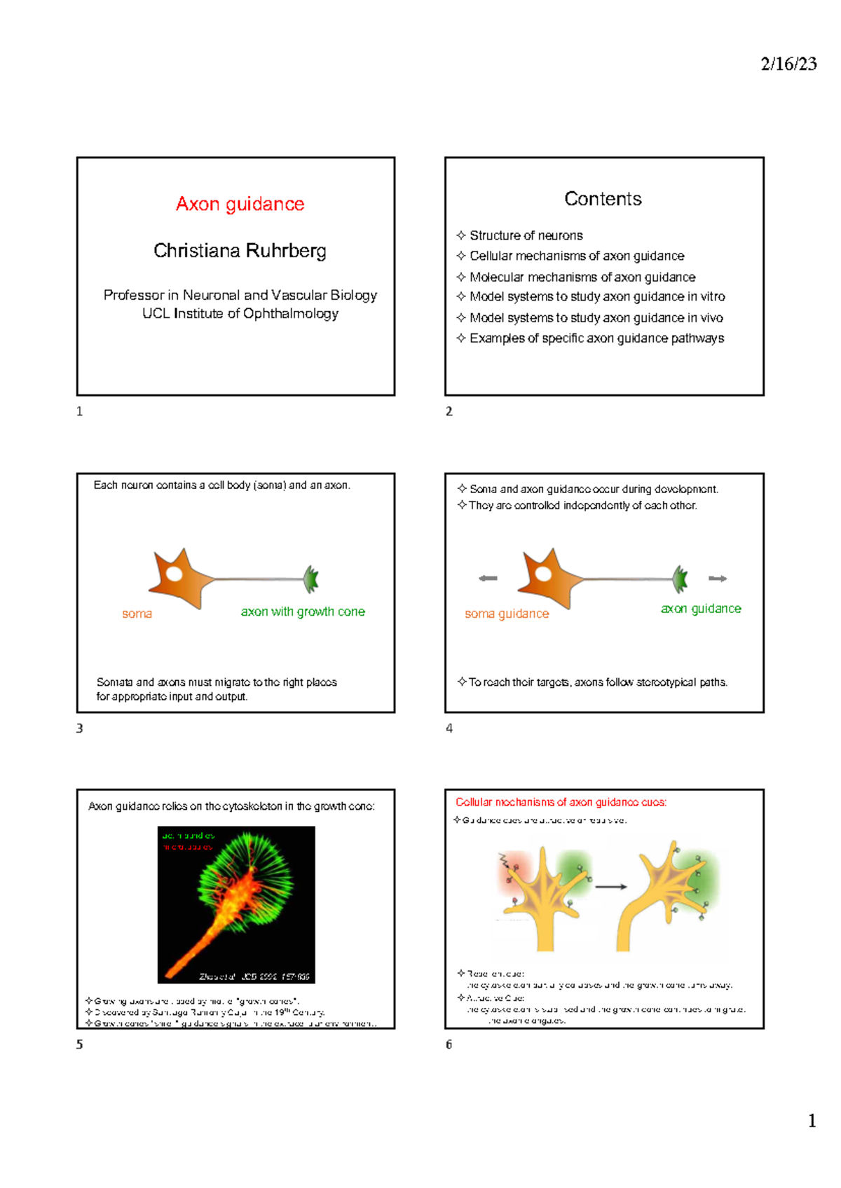 UCL 2024 Axon Guidance Lecture Handouts: Mechanisms & Models - Studocu