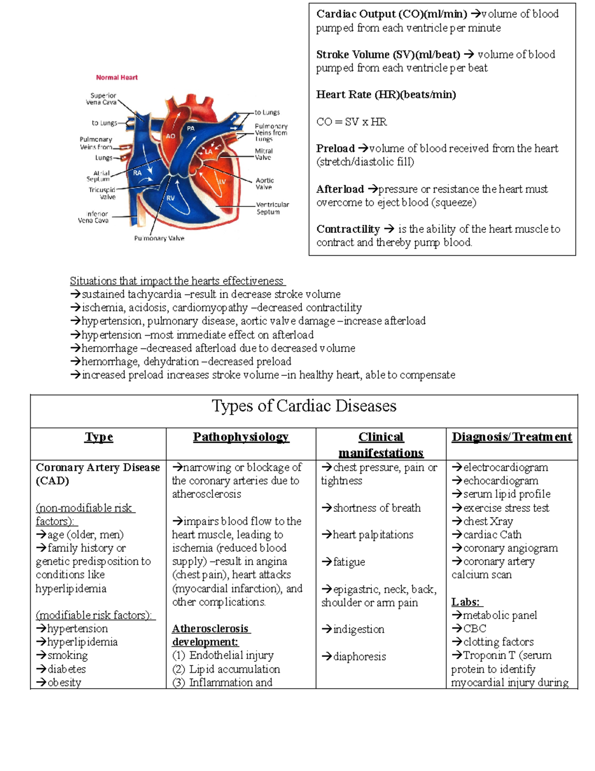 Cardiology Study Guide: Understanding Cardiac Output & Diseases - Studocu
