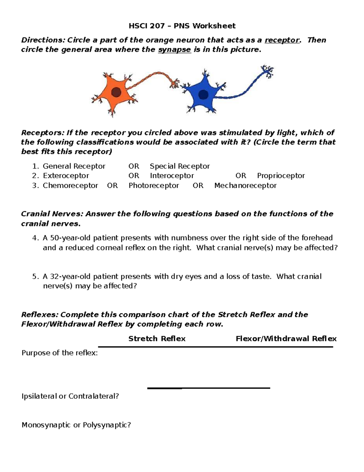 HSCI 207 PNS Worksheet: Neuron Receptors & Cranial Nerves Analysis ...