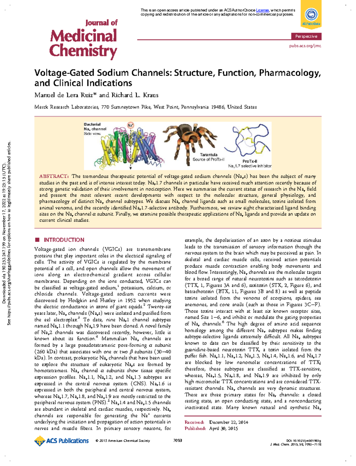 Sodium Channels: Structure, Function, and Clinical Applications (CHEM ...
