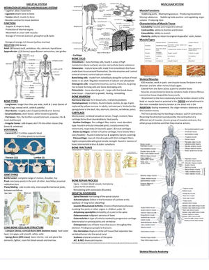 Blood Concept Map - Studocu