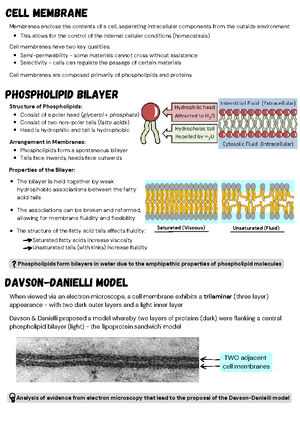 Funda LEC-Week1-2 - FUNDAMENTAL OF NURSING NCM 103 LECTURE Patient ...