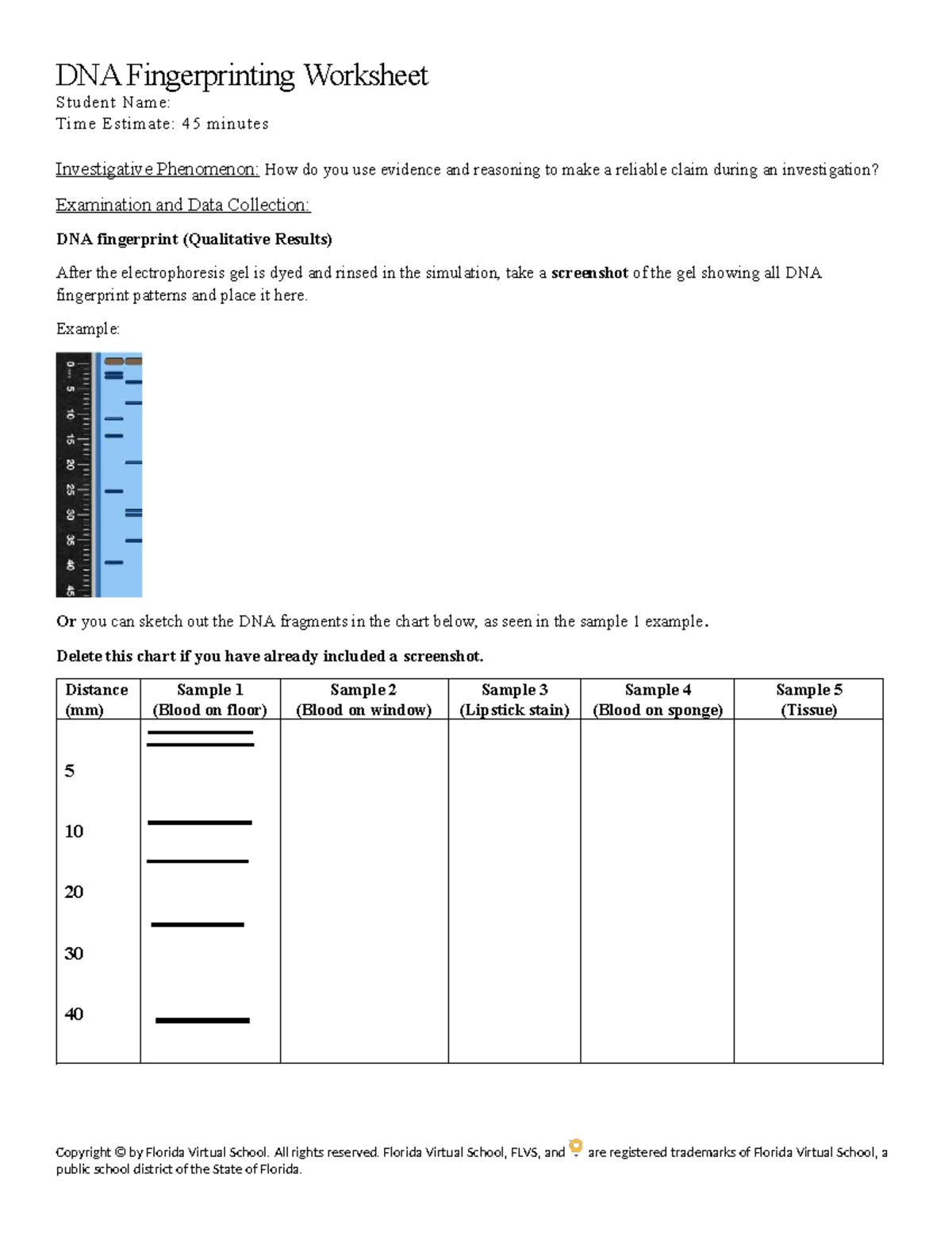 DNA Fingerprinting Worksheet: Evidence & Data Analysis - Studocu