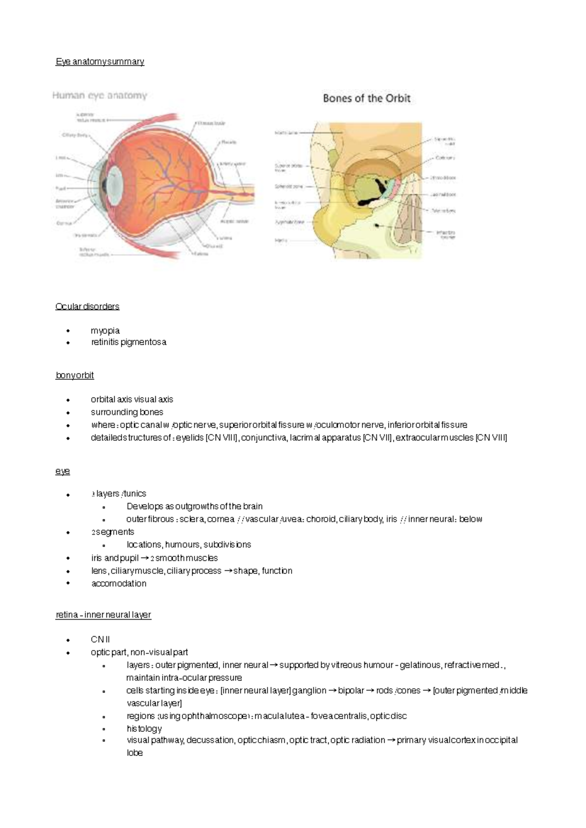 Eye Anatomy Summary: Ocular Disorders & Visual Pathway Overview - Studocu