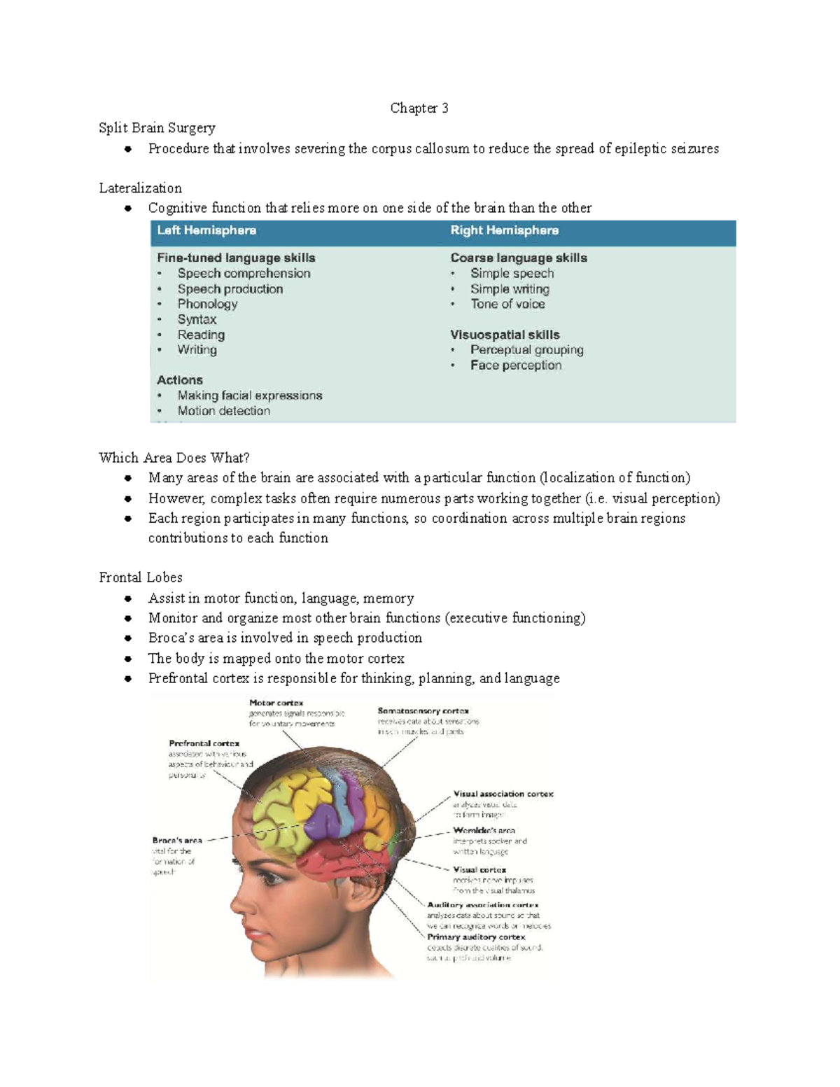 PSY 102 - Chapter 3: Split Brain Surgery & Brain Function - Studocu