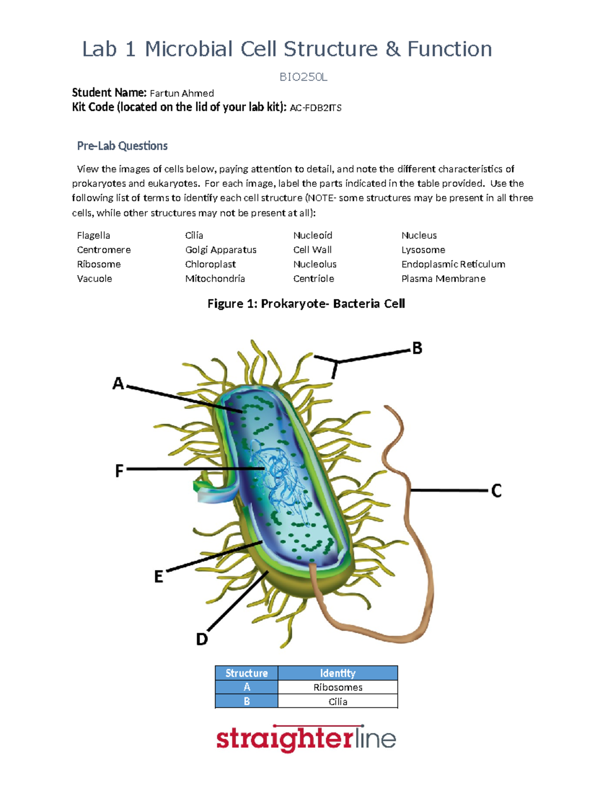 BIO250L Micro Lab 1: Identifying Prokaryotic and Eukaryotic Cells - Studocu
