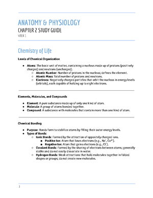 ANATOMY 2470 - Chapter 7 Study Guide: The Skeletal System - ANATOMY & PHYSIOLOGY CHAPTER 7 STUDY ...
