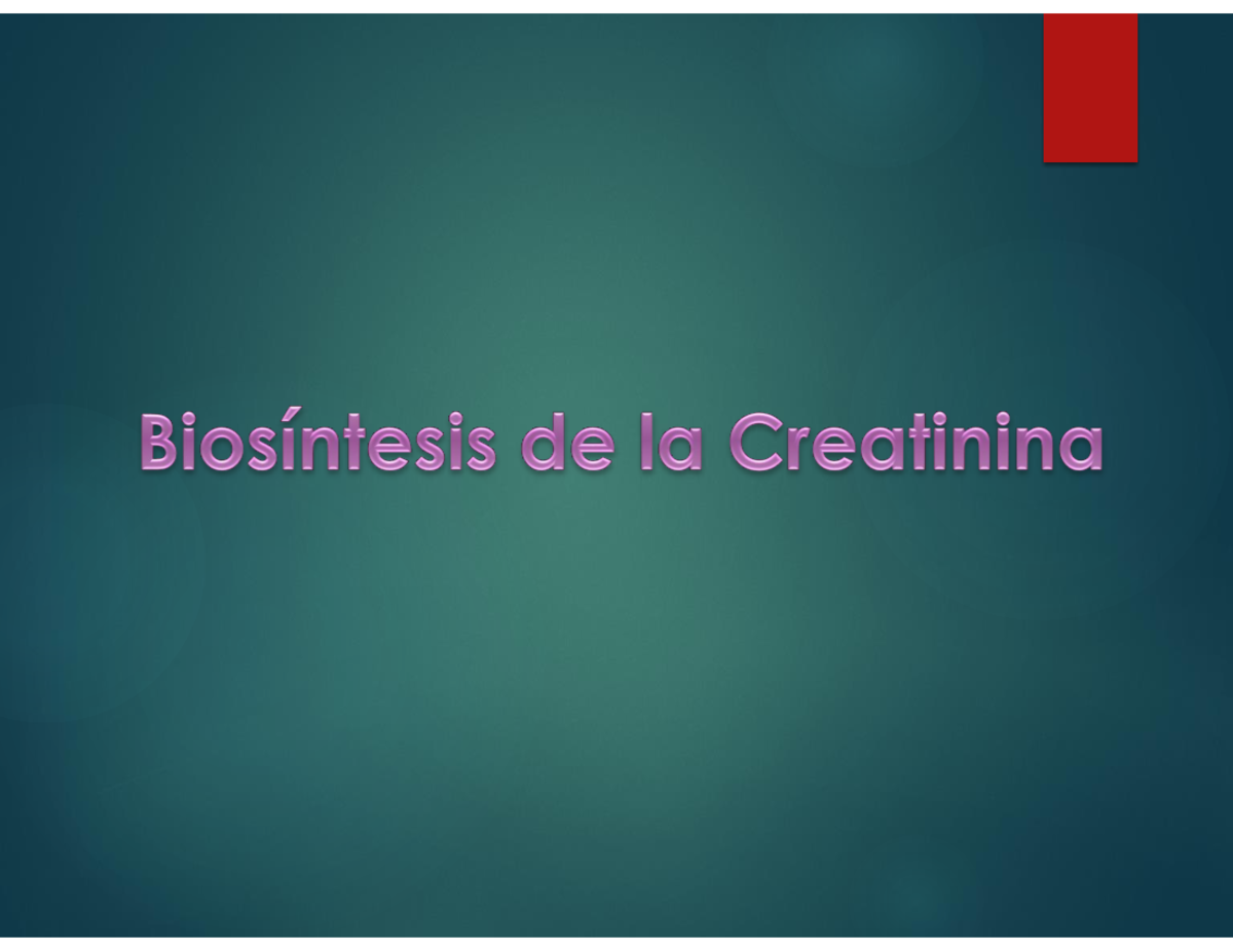 Síntesis de Creatinina y Su Función Renal: Un Análisis Básico - Studocu