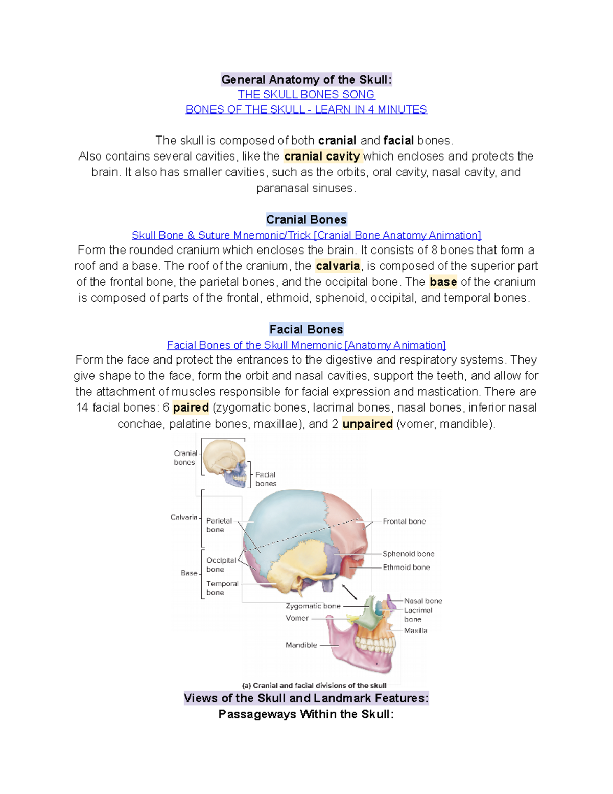 Bones and Features of the Skull - General Anatomy of the Skull: THE ...