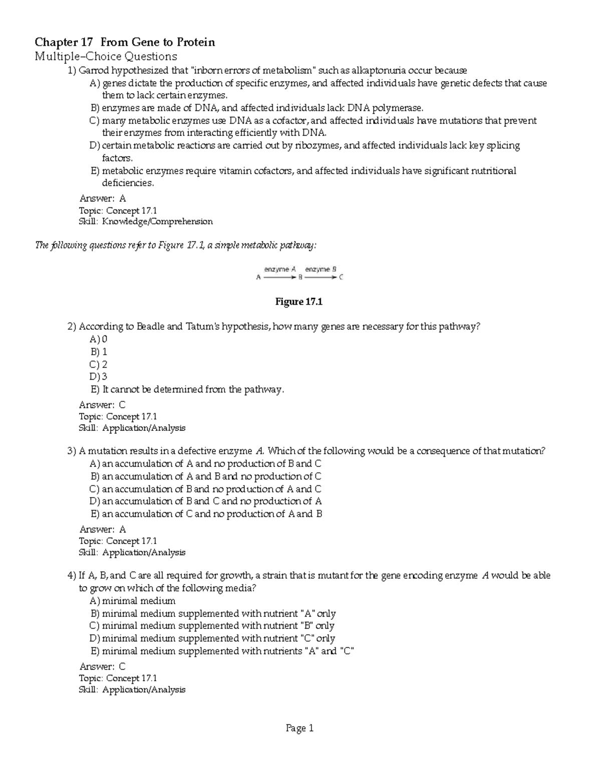 Ch17 AP BIO TEST - Chapter 17 From Gene to Protein Multiple-Choice ...