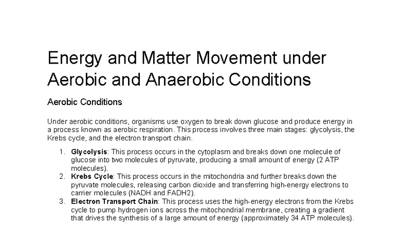 Biology 101: Energy & Matter Movement in Aerobic vs Anaerobic ...