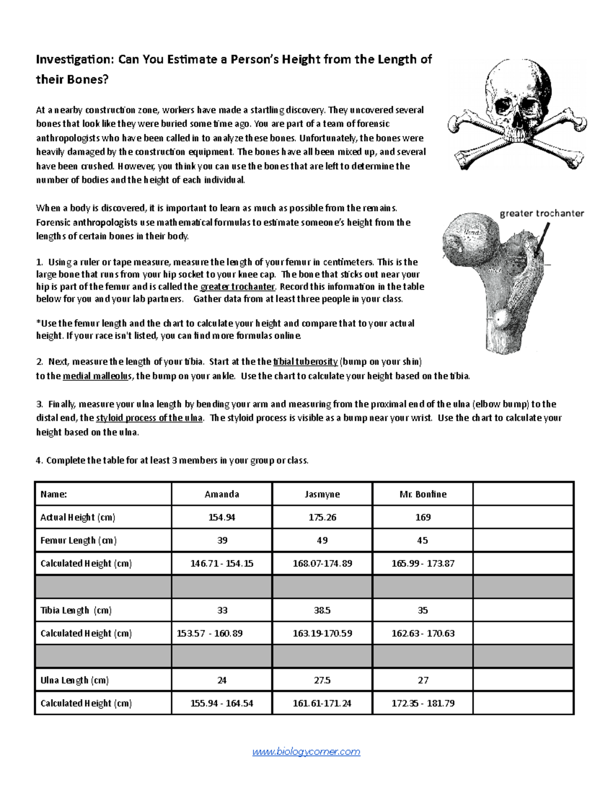 Estimating height from long bones - Investigation: Can You Estimate a ...